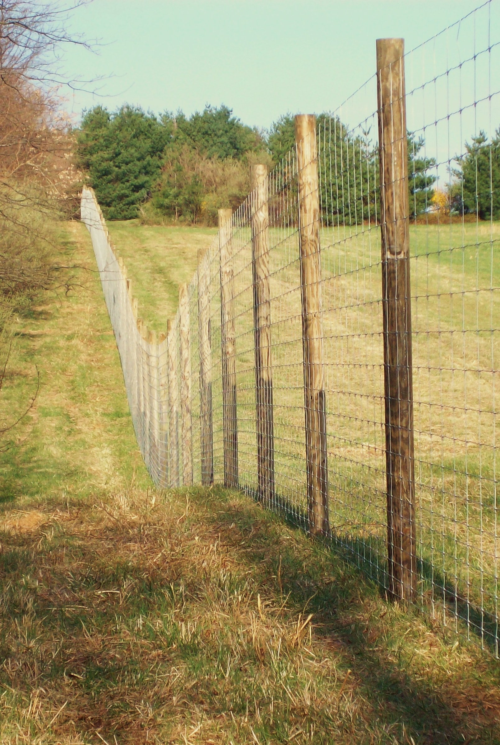 Livestock Fencing & Farm Fence Installation | ProFence LLC