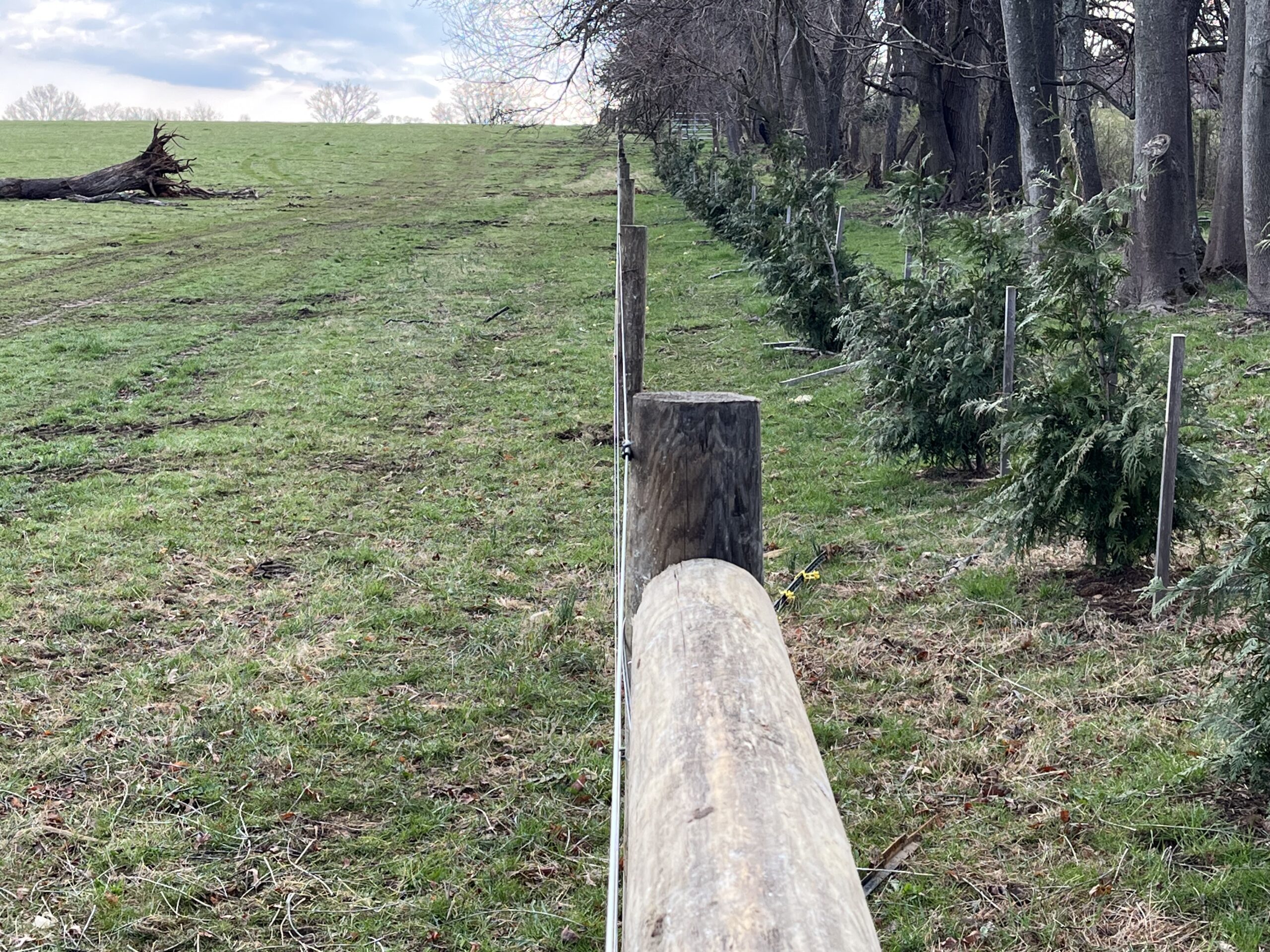 Hi Tensile Fencing for Cattle in Sykesville, MD - ProFence LLC