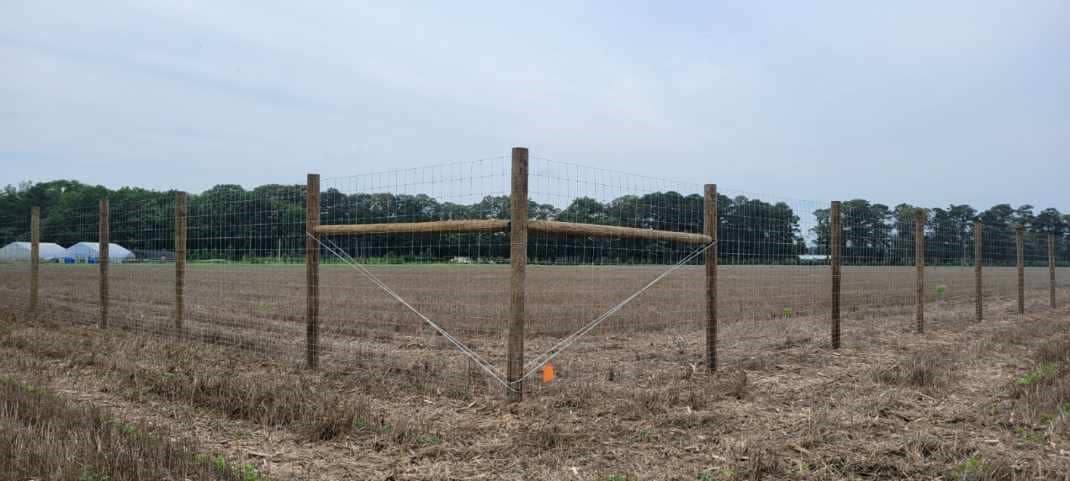 Deer Fencing in Princess Anne, MD - ProFence LLC