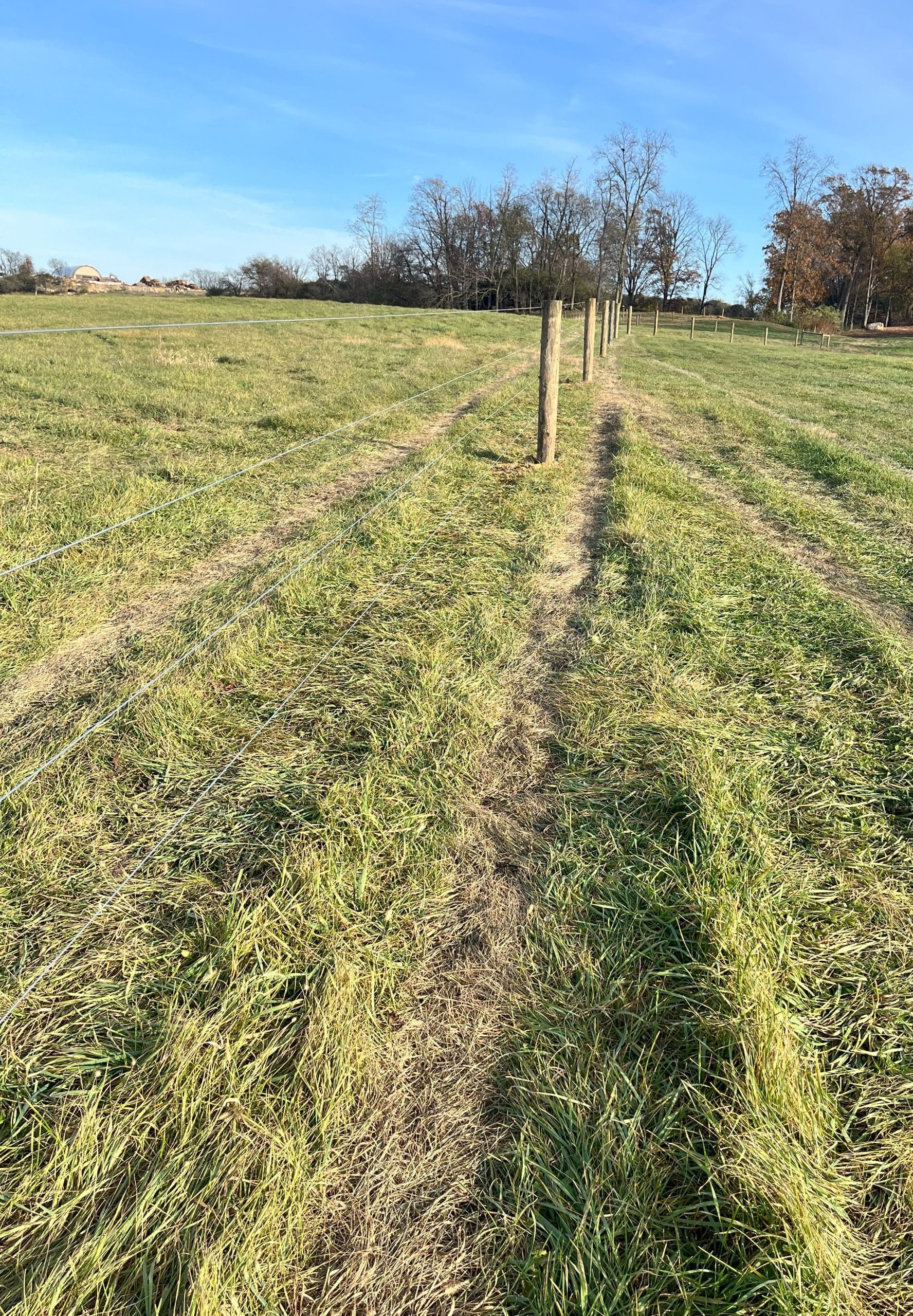 Electric Cattle Fencing in Newville, PA - ProFence LLC