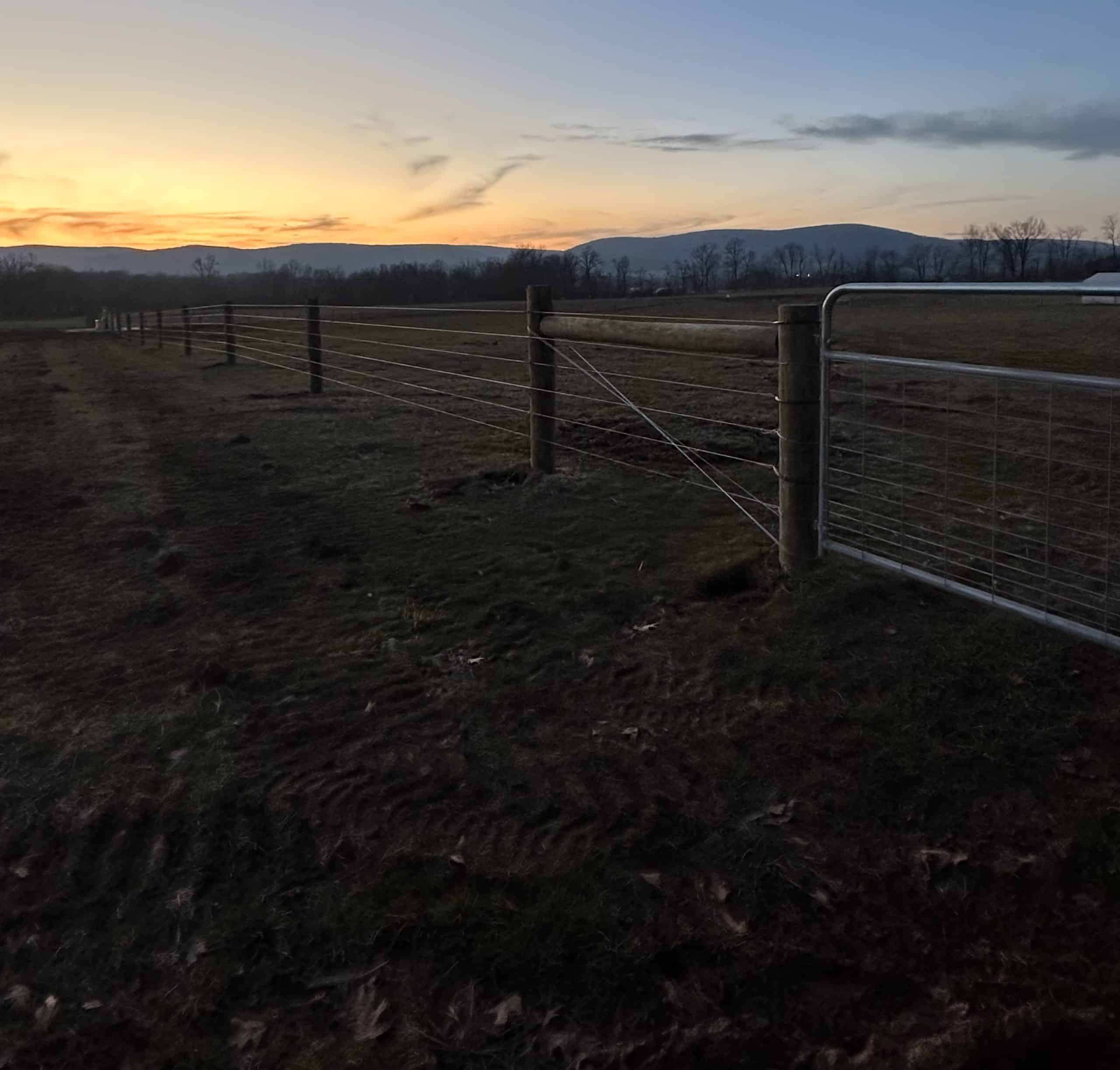 Electric Cattle Fencing in Thurmont, MD - ProFence LLC
