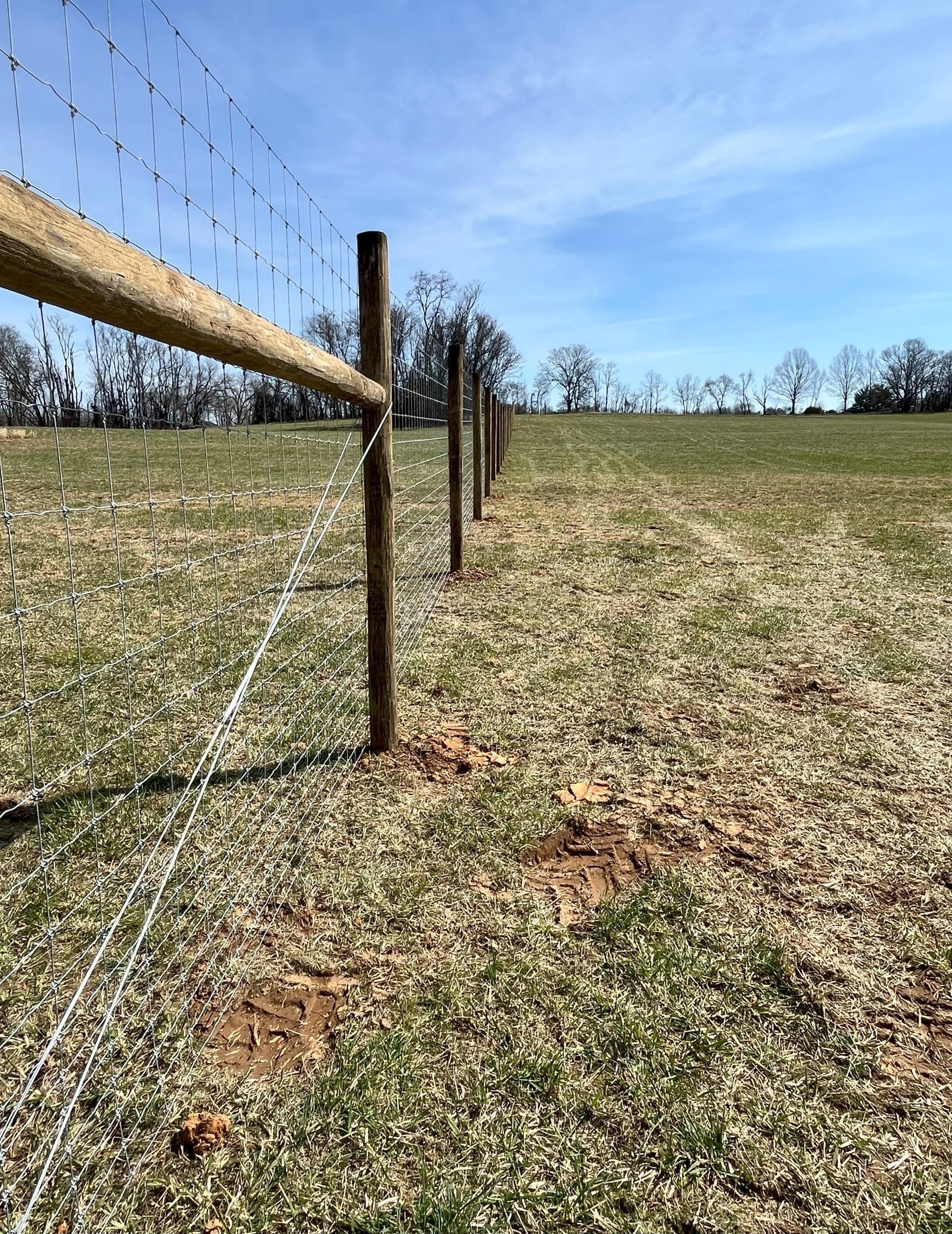 Deer Fencing in Shepherdstown, WV - ProFence LLC