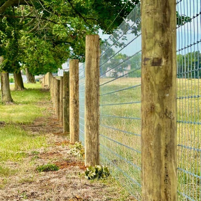 ProFence | Expert Farm & Livestock Fencing Solutions