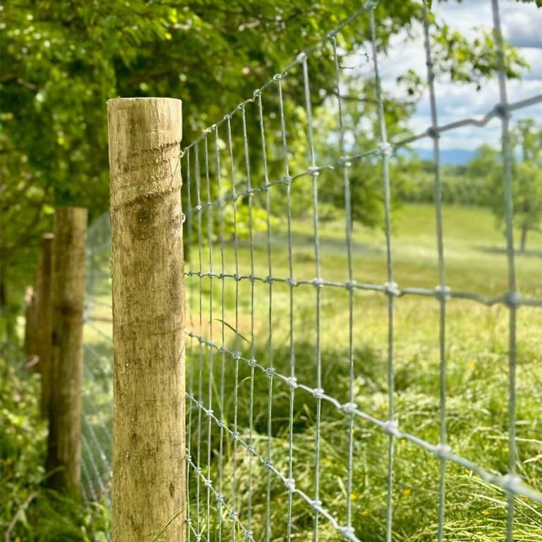 ProFence | Expert Farm & Livestock Fencing Solutions
