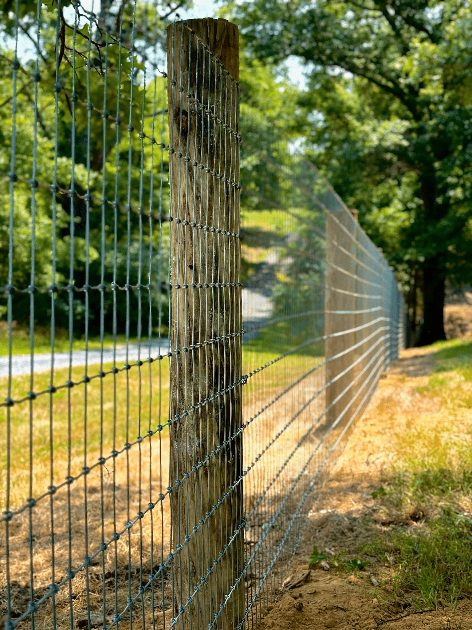 Goat Fencing Made Easy: Safety and Enrichment for Your Goats - ProFence LLC
